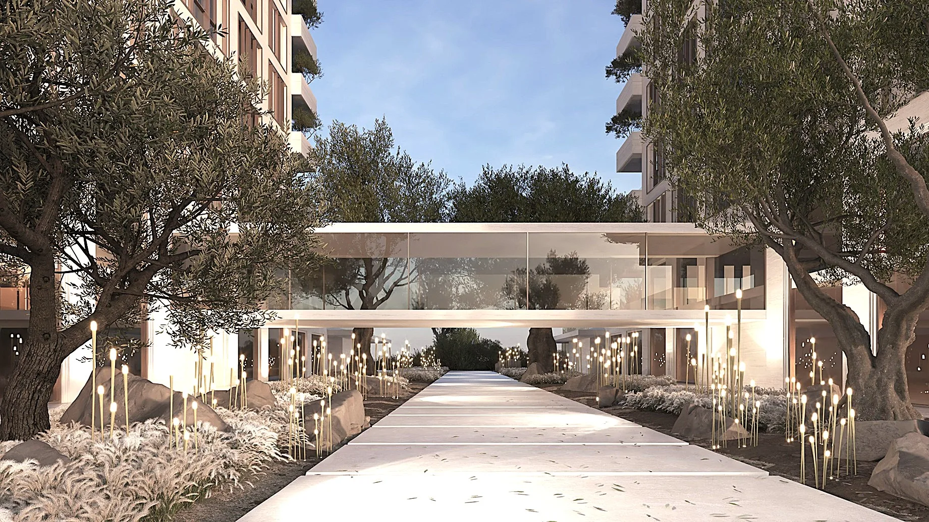 Ancient olive trees worth AED1mn each heading to Dubai development ...